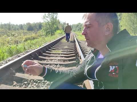 Поиск пропавших грибников... (два дня в лесу)