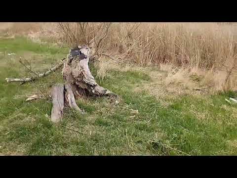 2 - й день. Отдых на речке.