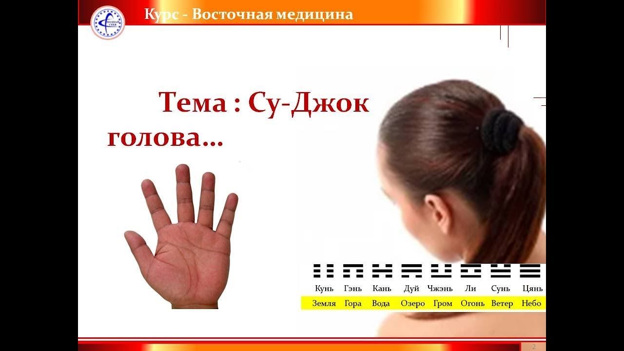 Су Джок и голова 28 10 17