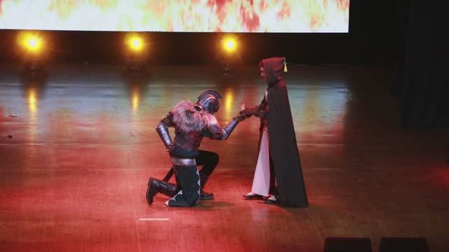 Fenix 2025. игра "Dark Souls II" Алый щит и лунный меч