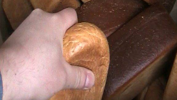 БЕСПЛАТНЫЙ КОРМ ДЛЯ ЖИВОТНЫХ!!! В ПИТЕРЕ ТАКОЕ ВОЗМОЖНО!!!