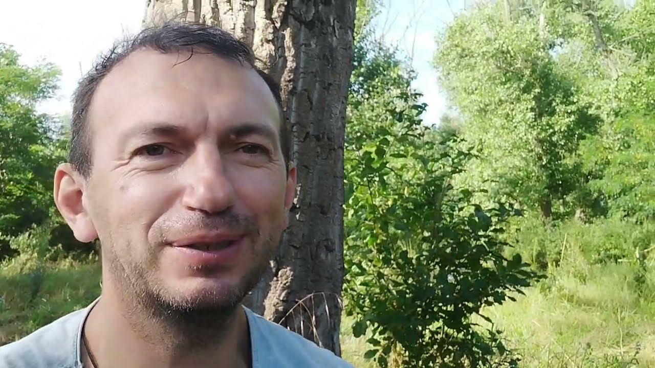 Опять сегодня отдохнул да и кота порадовал.