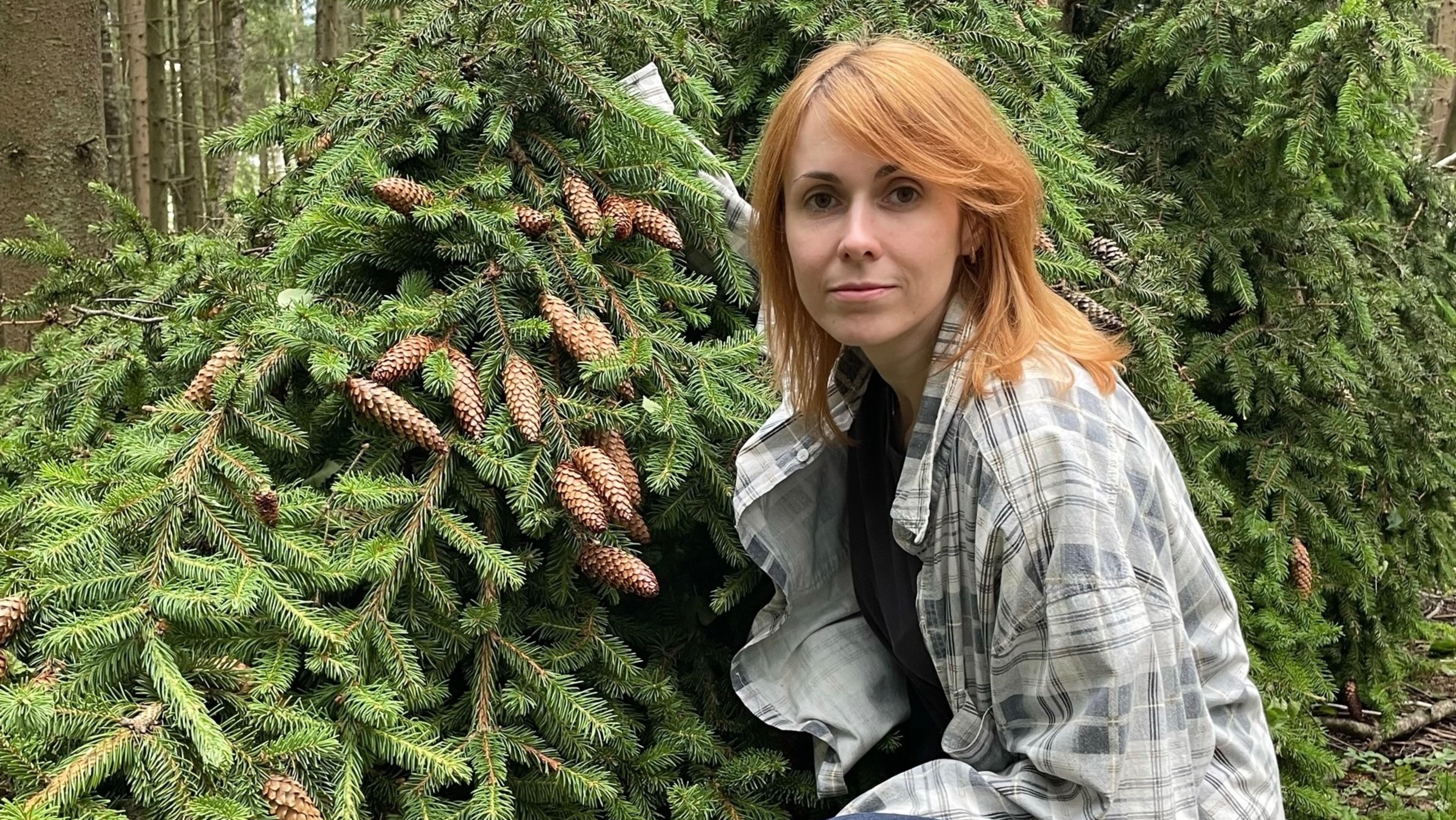 Тихая охота 2024 | Последствия урагана в лесу и первые грибы