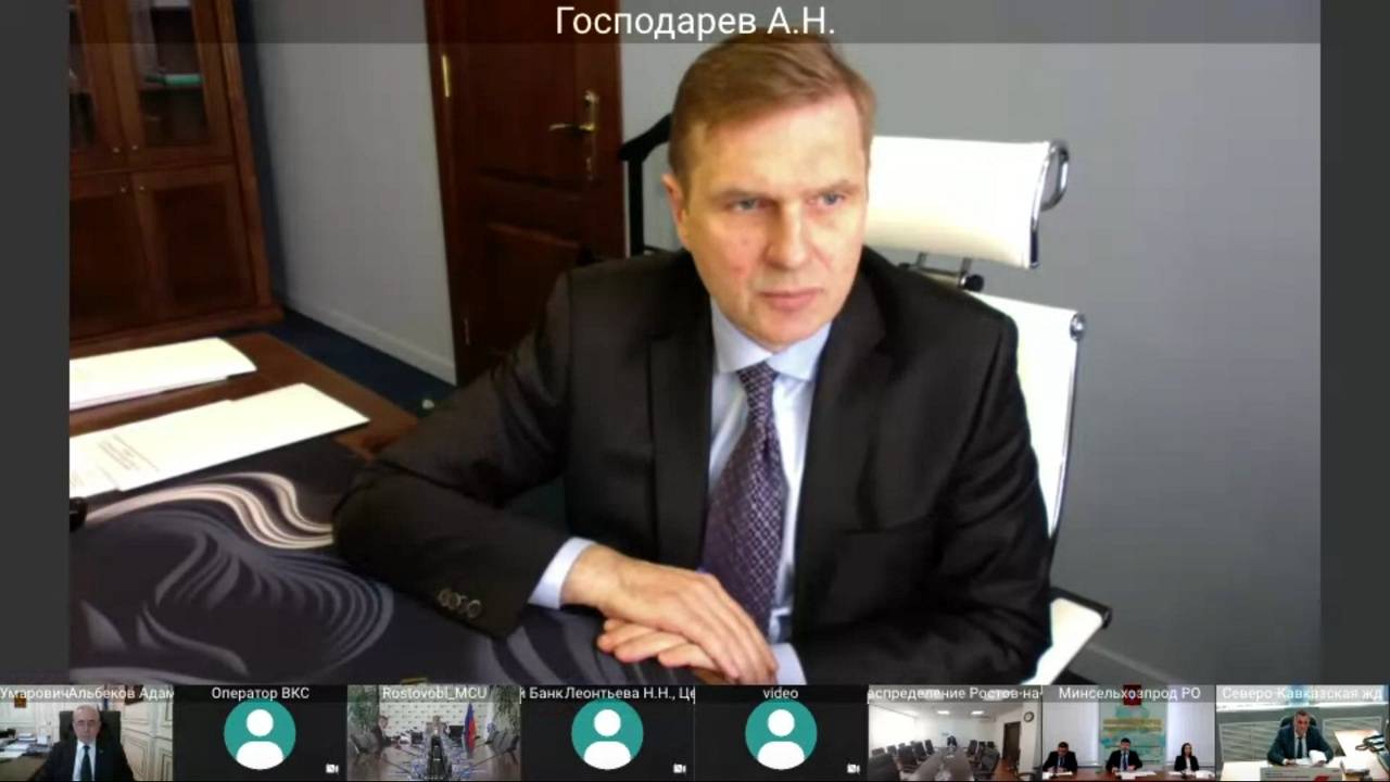 Заседание Совета по инвестициям при Губернаторе Ростовской области 23.04.2025