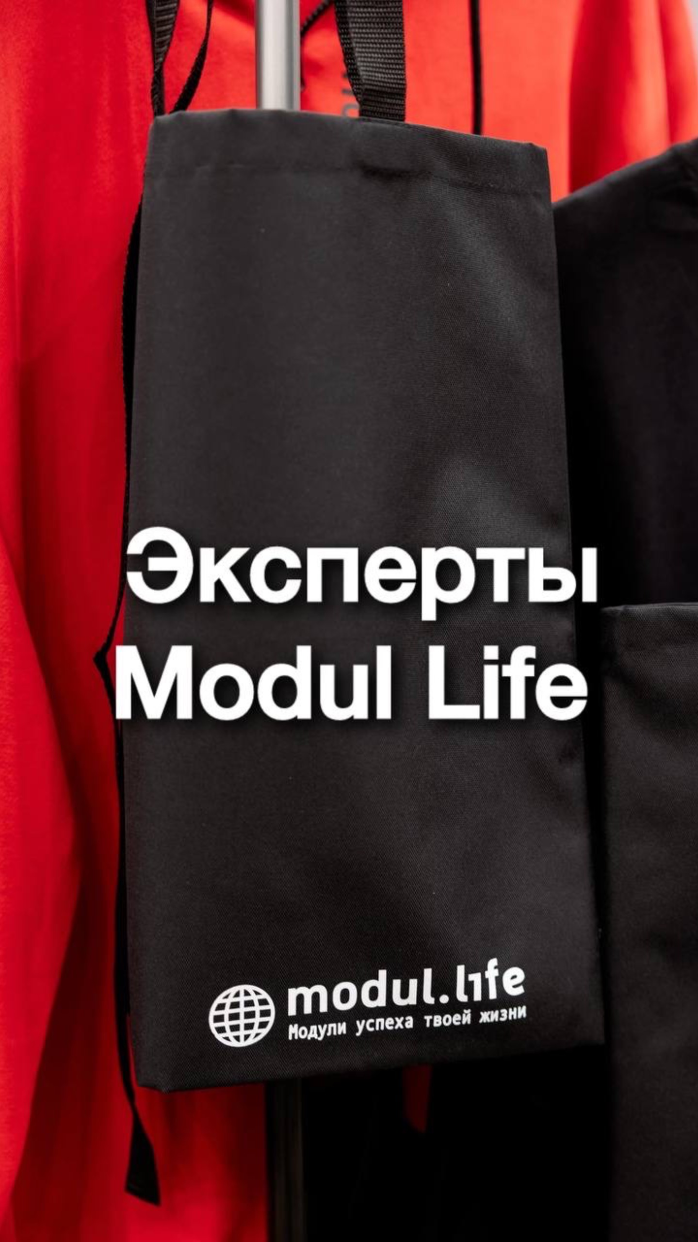 Эксперты сообщества Modul Life — проводники в мир финансовой культуры и успеха