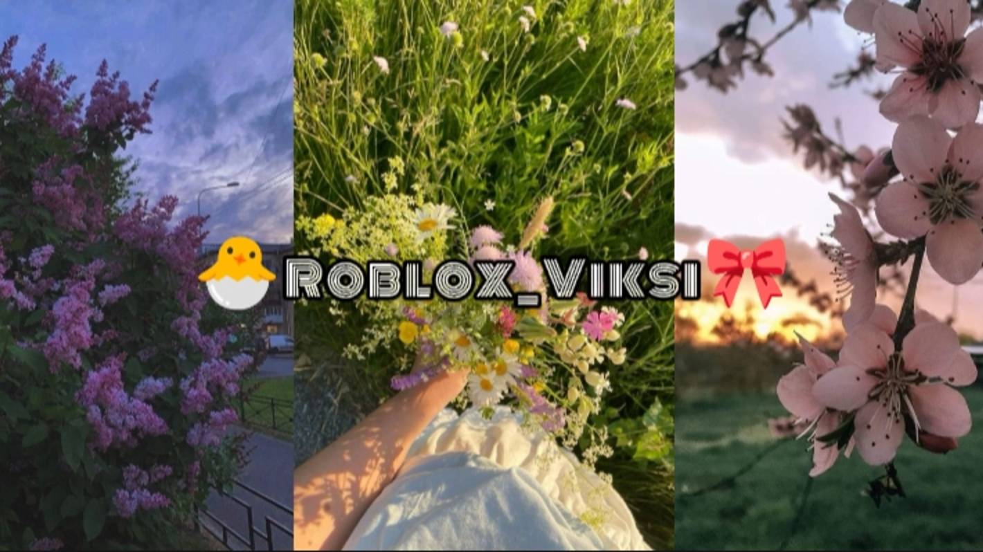 Играю мм 2 в роблокс❤️🔥