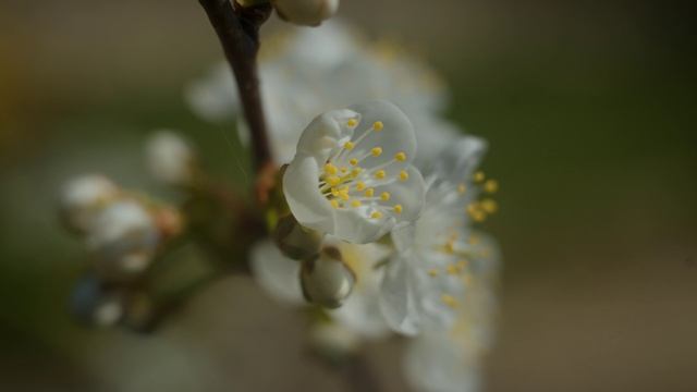 Прогулка в апреле. Свято источник.