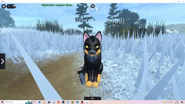 клип-Believer-коты воиетли роблокс