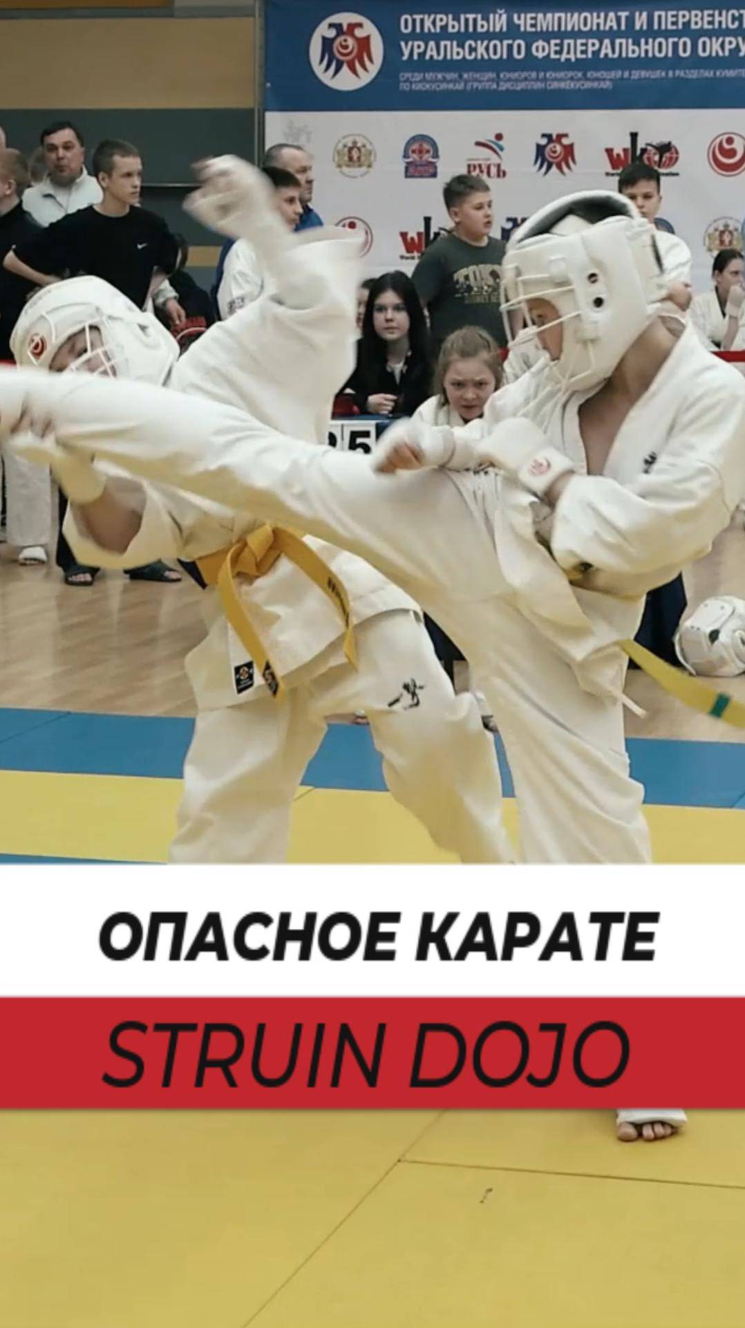 Карате киокушинкай. Маваши-гери. ЧеТКо!