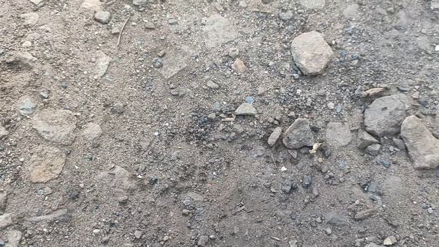 Муравьиная дорожка