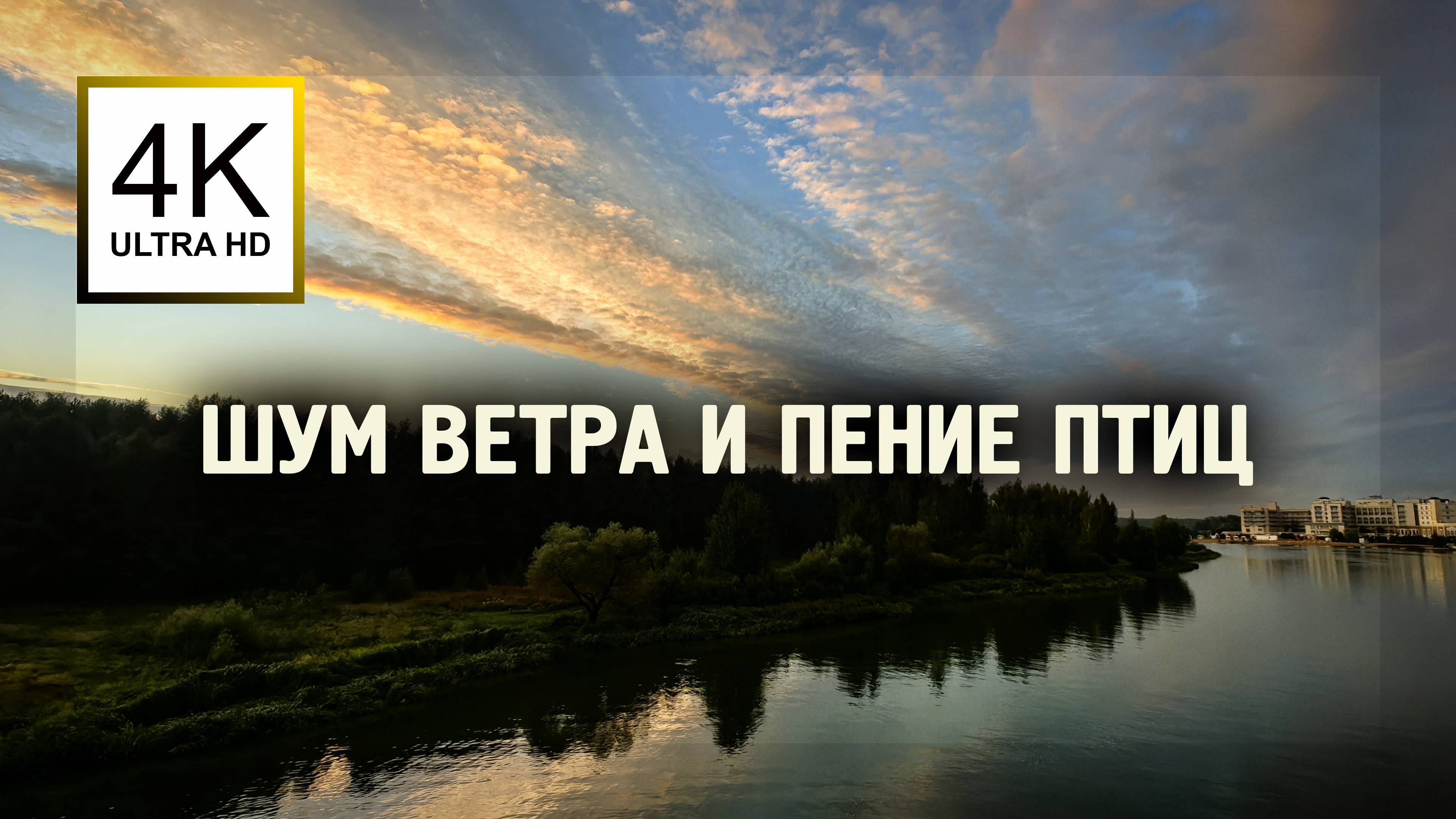 Шум ветра, Дождь, Шаги, Птицы, Атмосферный звук | Весенний пасмурный Завидово | Эмбиент , АСМР