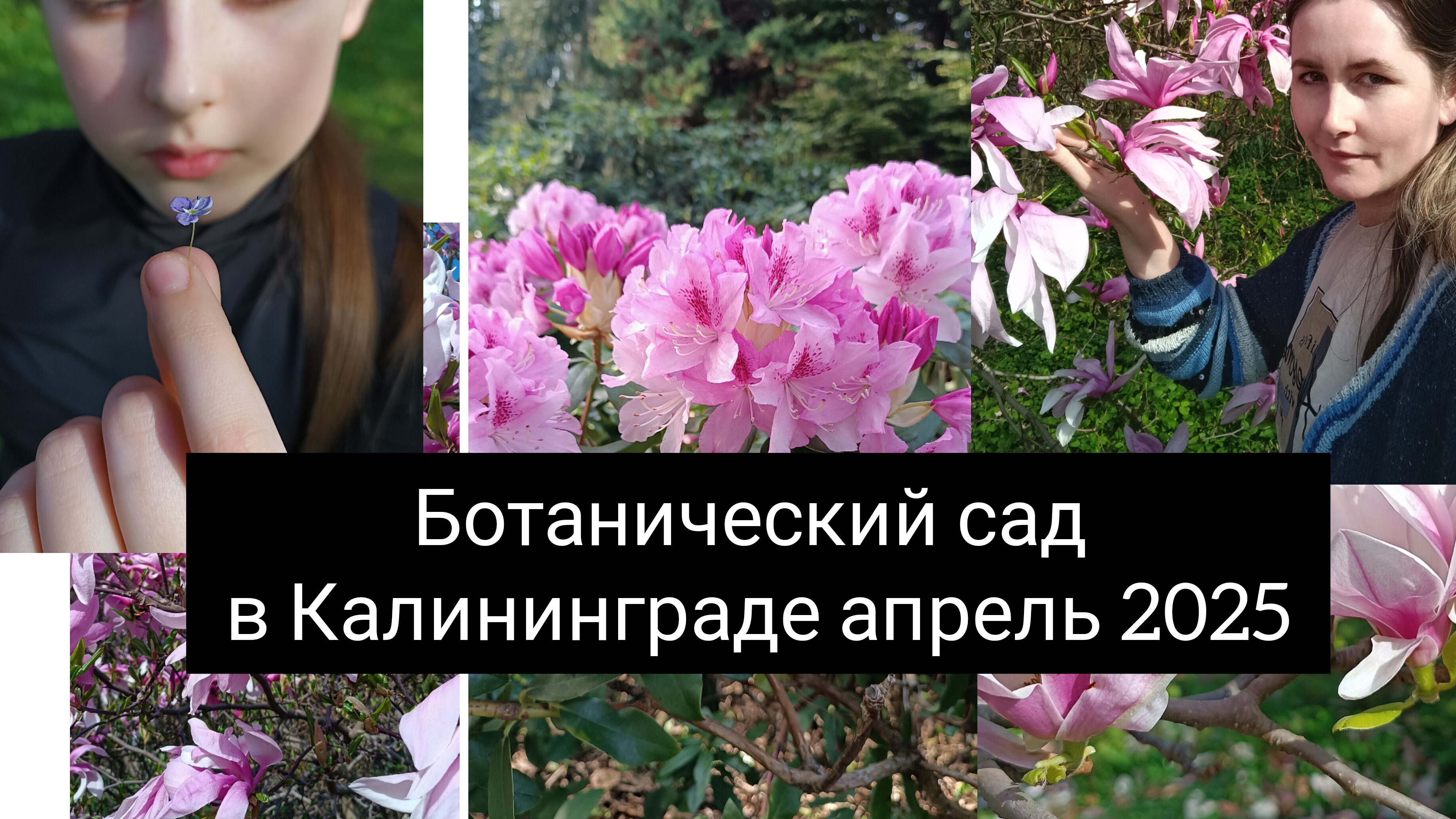 ботанический сад в Калининграде апрель 2025