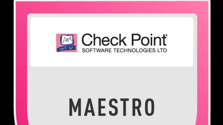 4. Quantum Maestro Architectures and Optimization June 2024