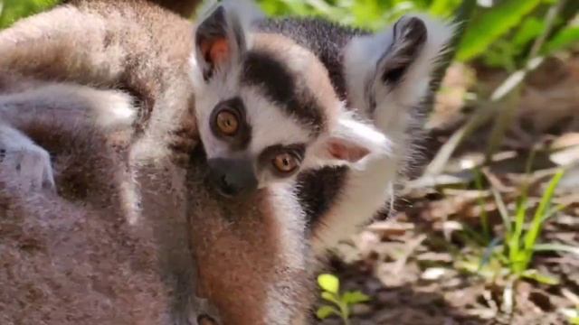 ☀️ Доброе утро, друзья!