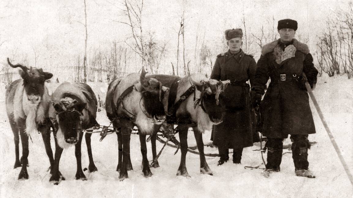 Использование оленей. Киножурнал времен Великой Отечественной войны