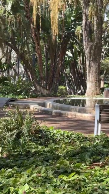 ❤️Наше любимое место на этой аллее⛲️рядом с фонтаном