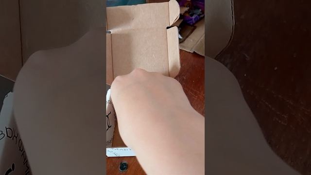 Новое животное в моём картонном домике 2