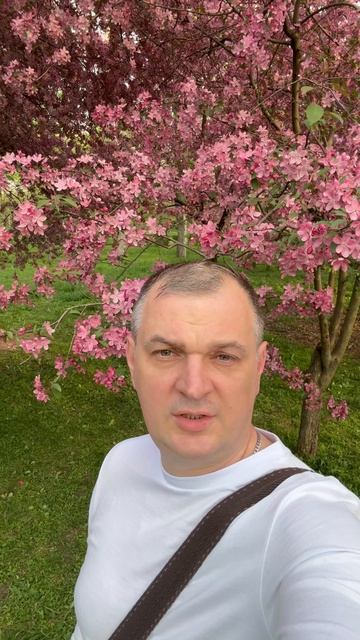 Невероятная красота в Ростове-на-Дону