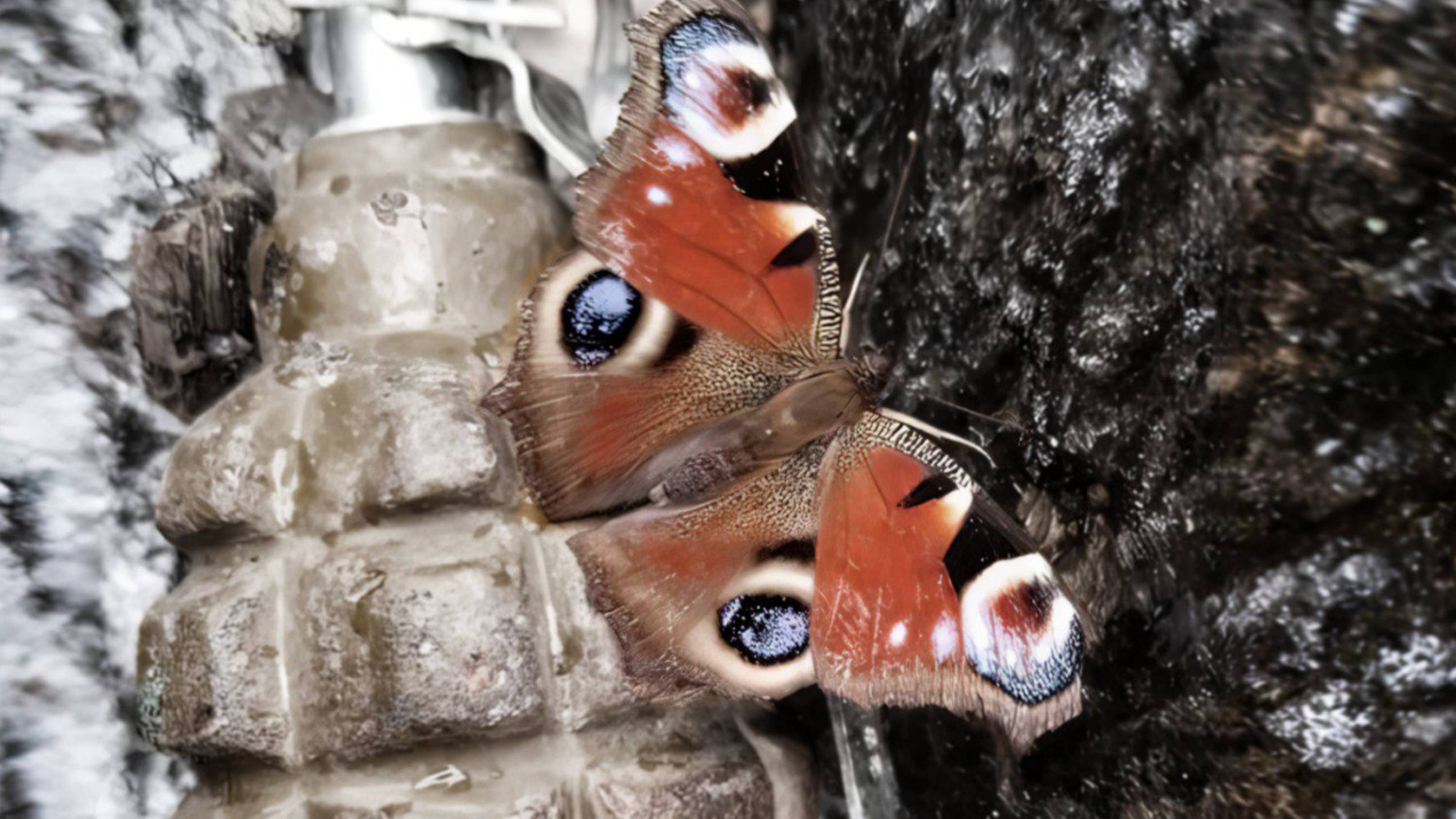 Виктория Ли "Повезёт"