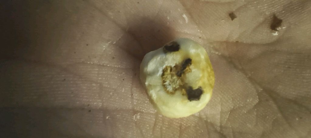 что я тварю