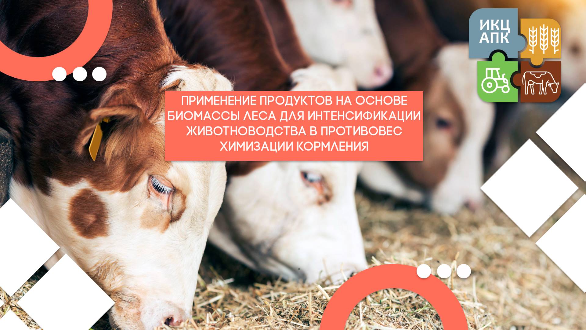 Запись семинара от 24 апреля 2025 года