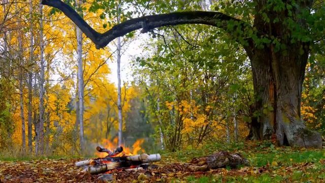Осенняя атмосфера — потрескивание костра и пение птиц на фоне красочной природы