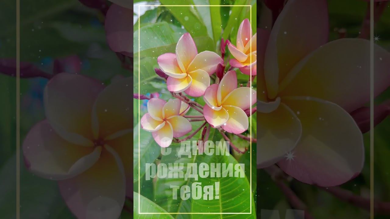 С днем рождения, папа! #песня #открытка #поздравление #от сына #HappyBirthday