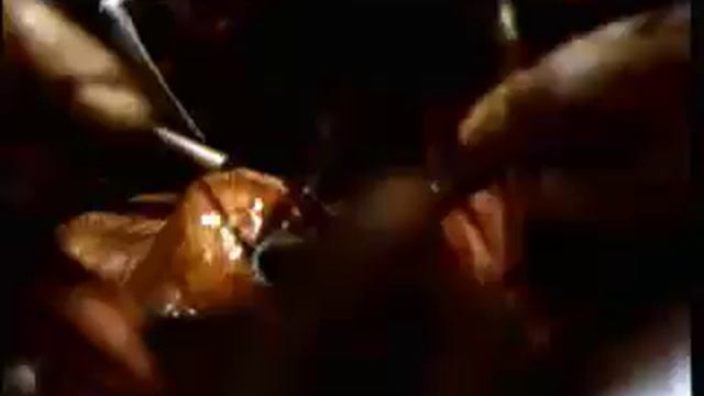 Киноальманах ПО СОВЕТСКОМУ СОЮЗУ 1976 г  № 139