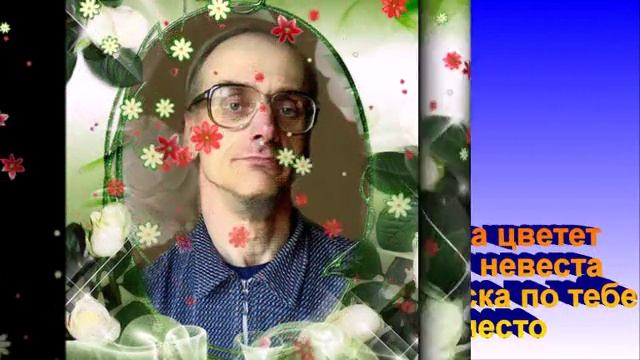 МОИ СТИХИ И Я  (текст)