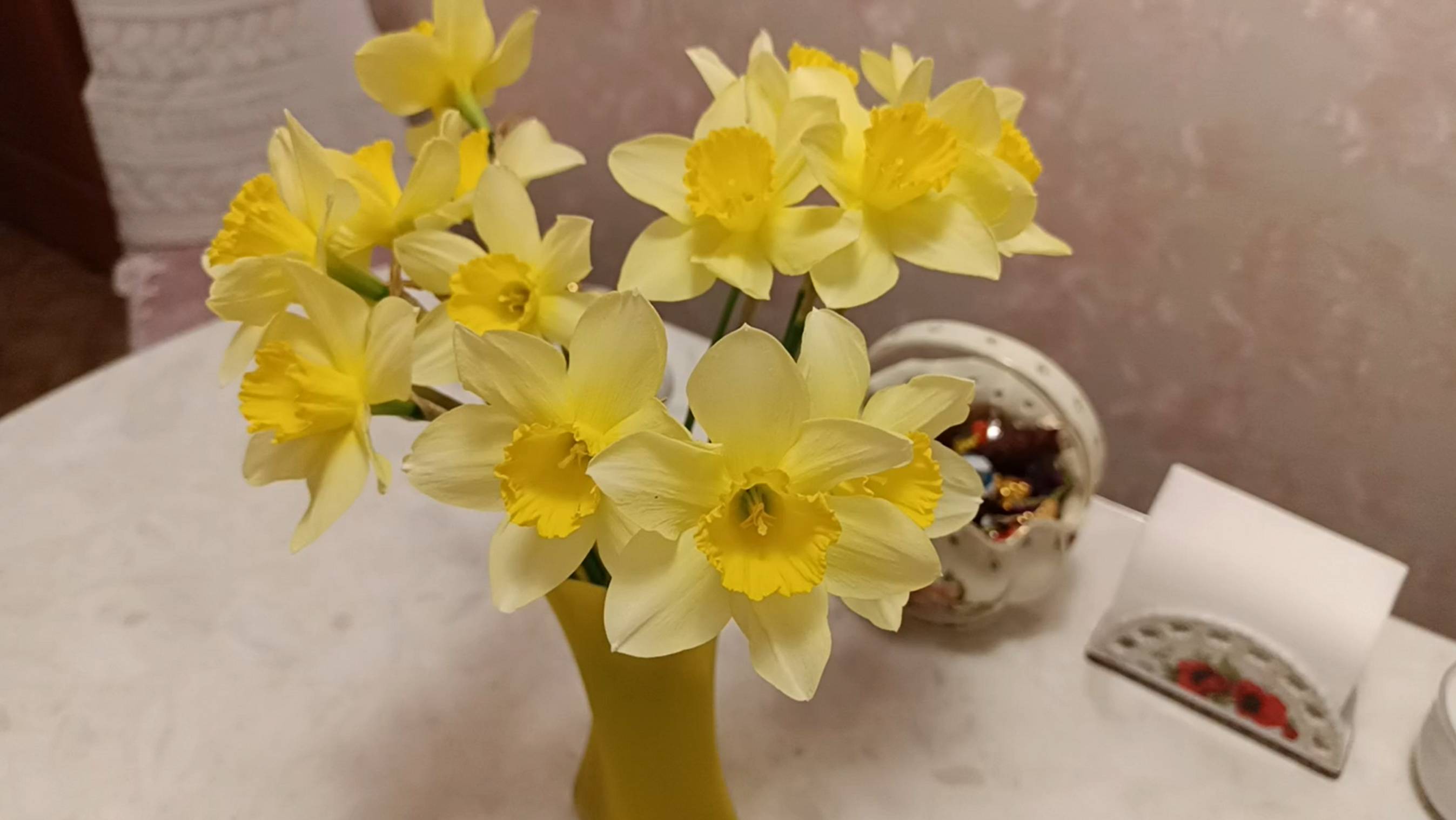 Весенние нарциссы.