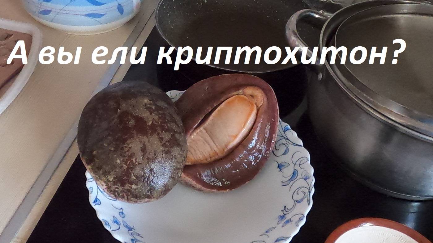 Как готовить Криптохитон