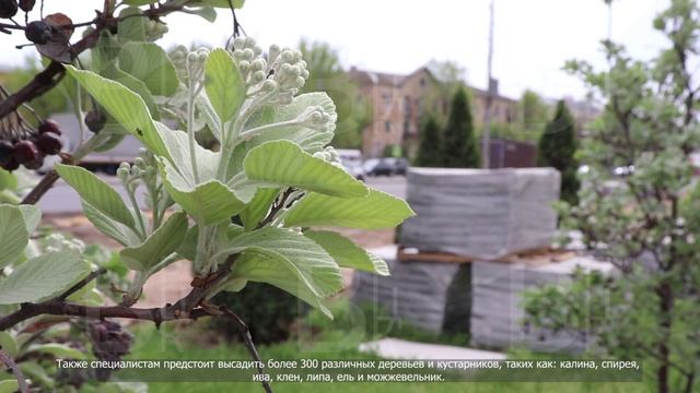 Благоустройство пространства у здания ЗАГС Советского района. 22.04.2025