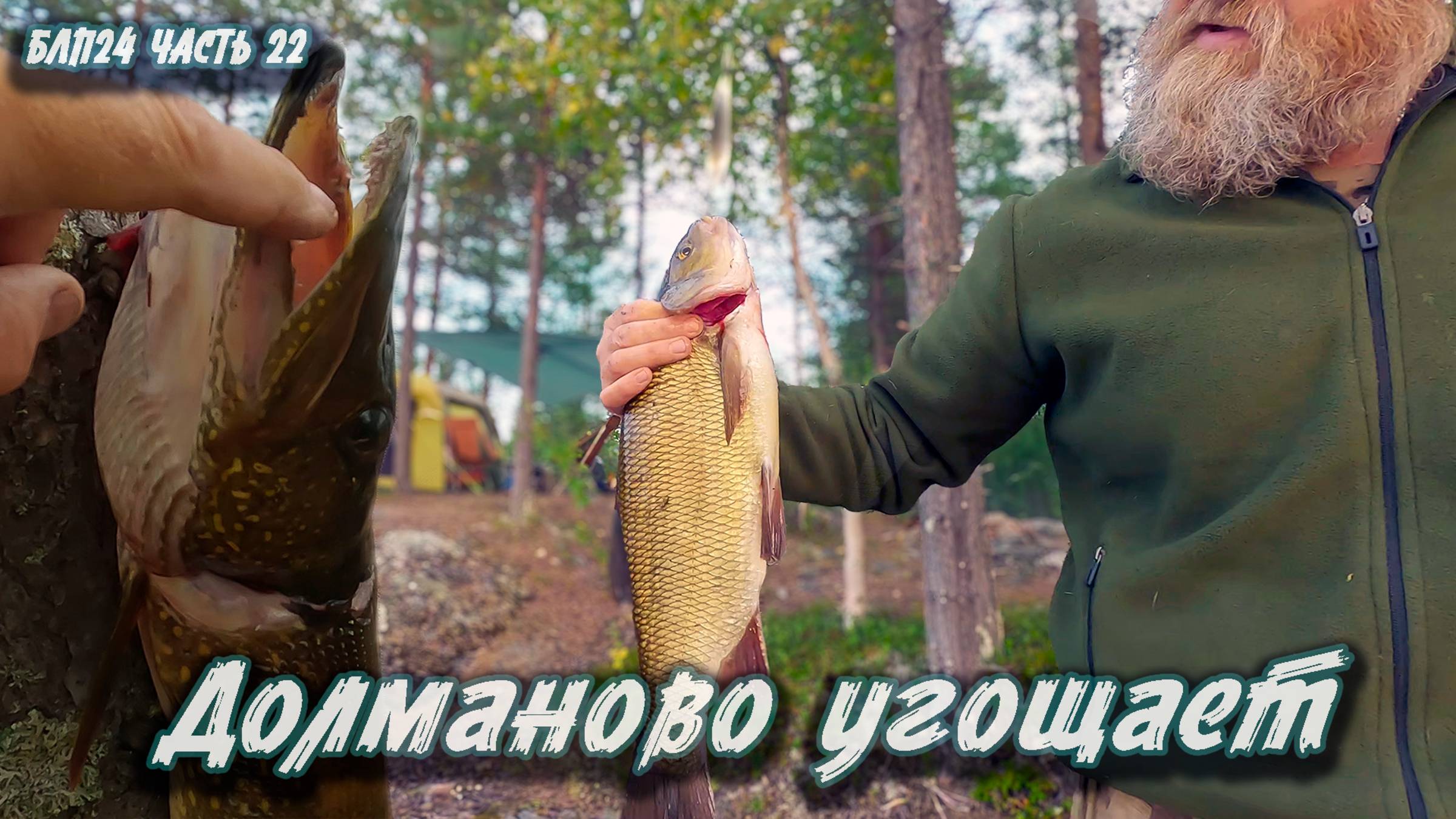 #22 Долманово угощает | Навстречу северным ветрам 2024