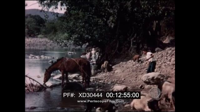 Короткометражный док. фильм / ПРАВДИВОЕ ПРИКЛЮЧЕНИЕ - История о вампирах 1958-67 г