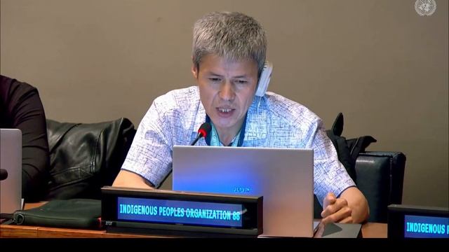 Алексей Чиспияков. (5th meeting) UN Permanent Forum on Indigenous Issues, 24th session (Rus).