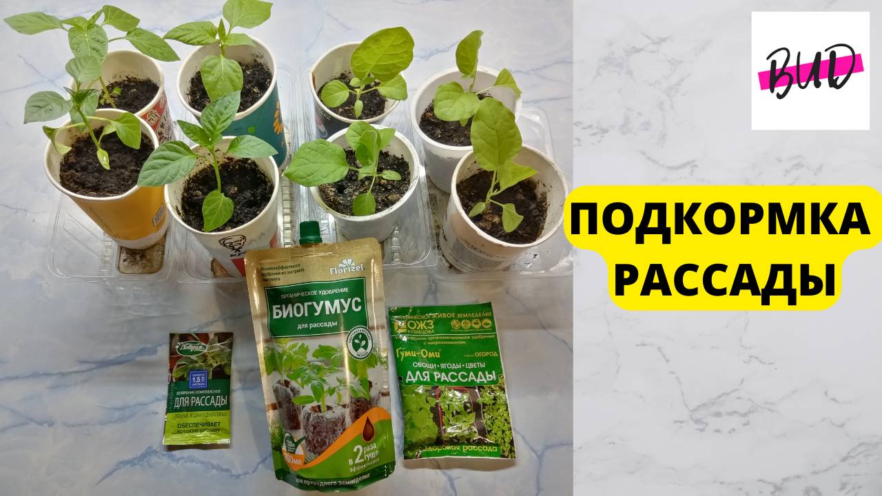 ПОДКОРМКА РАССАДЫ ПЕРЦА И БАКЛАЖАНОВ 2022.