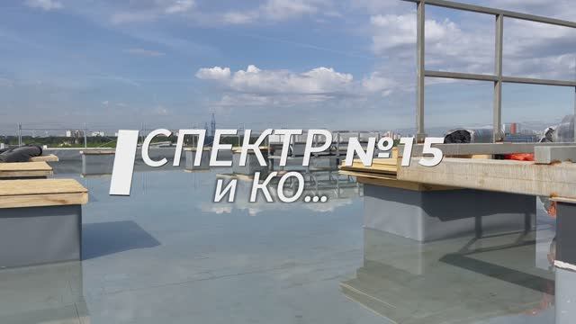 Рябина в воде