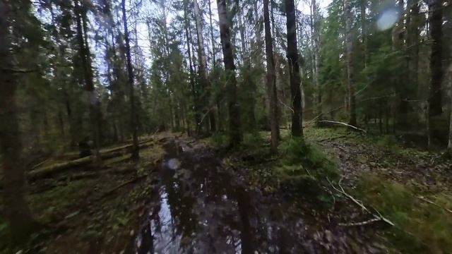 просто прогулка