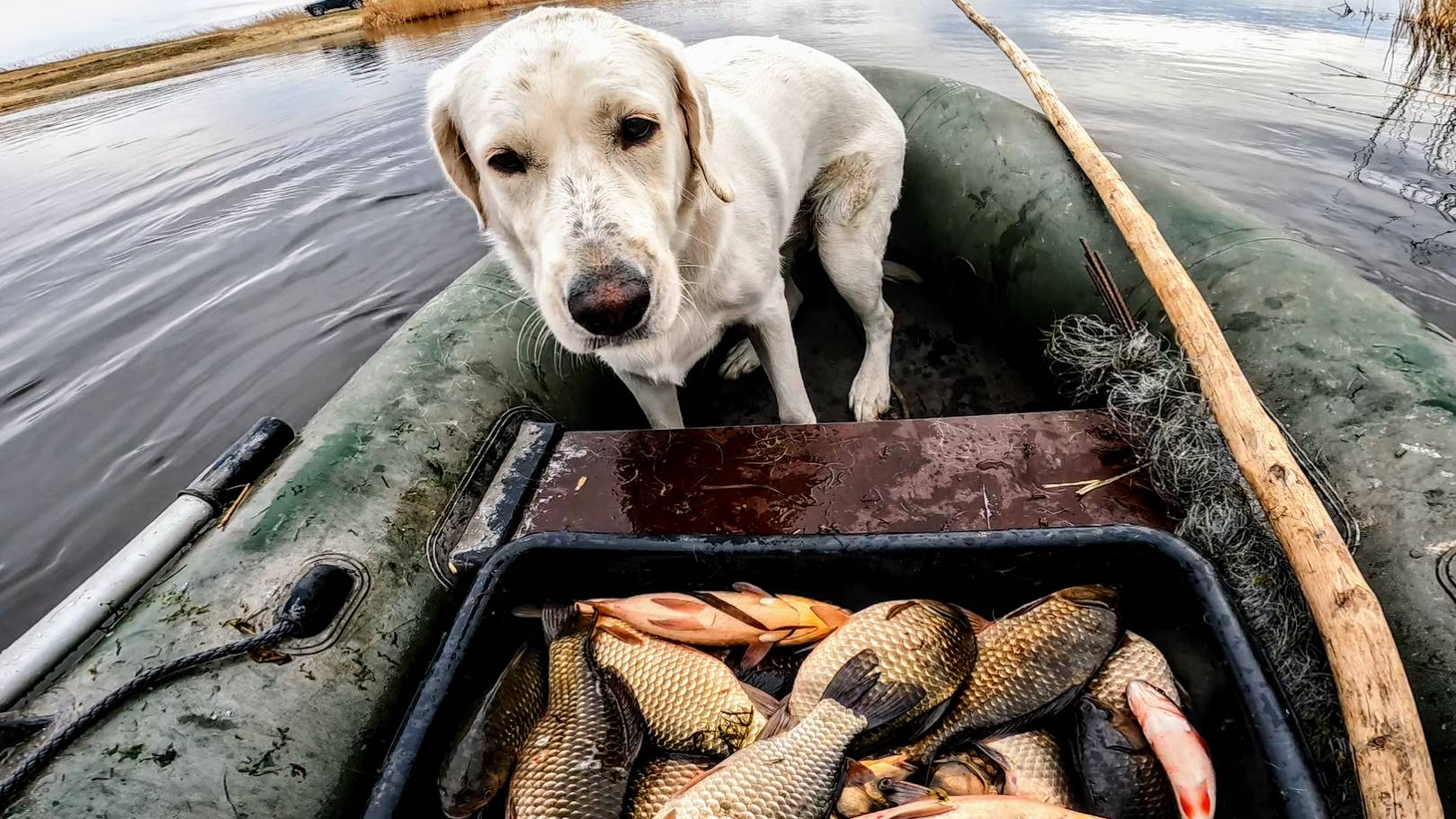 Рыбалка на паук весной с лодки. Рыбалка 2025. Рыбалка на паук подъемник сделанный своими руками.