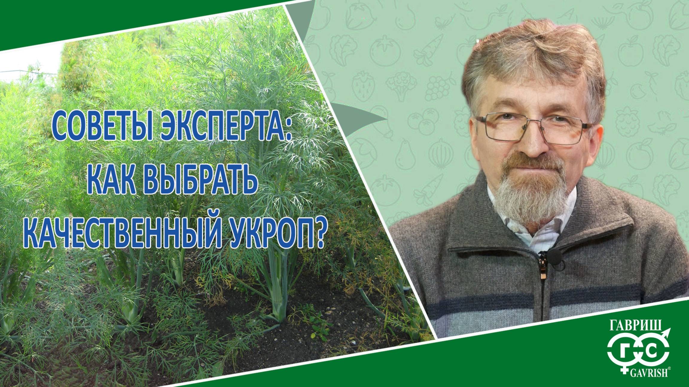 КАКОЙ УКРОП ВЫБРАТЬ?