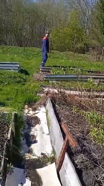 Спилили ёлку, но не так как надо😉