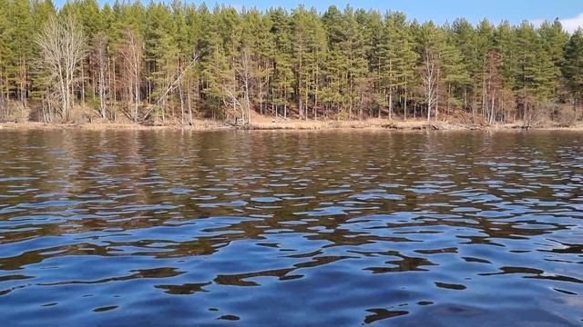 Отдых на реке молога