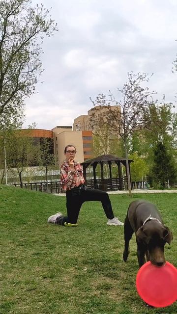 Спортивный Метис Нэтта - вольт от колена