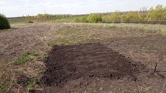 посевная завершилась; посадили картошку на ранний урожай