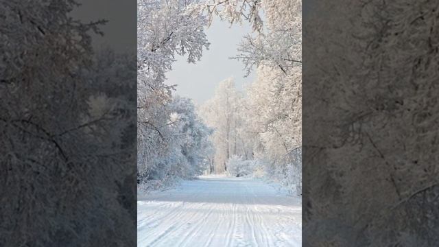 Целую лунный снег. На стихи Валентина Куклева