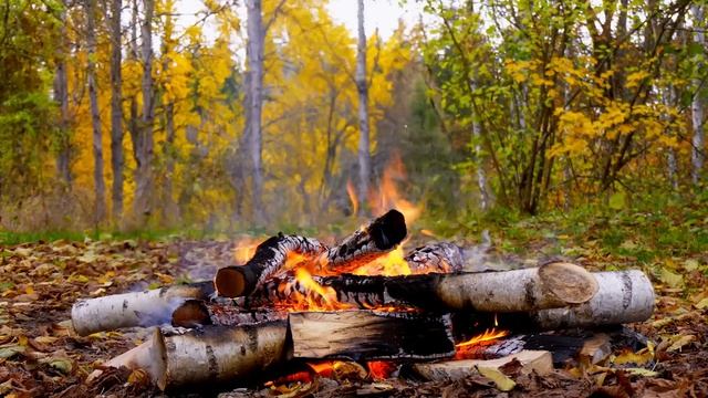 Осенняя атмосфера — расслабляющий костер и звуки природы | 4K Ultra HD