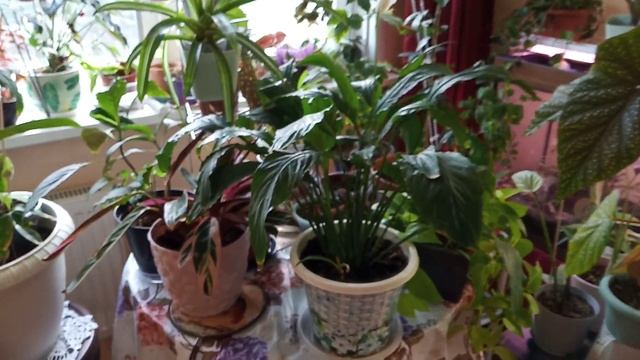 Облачный садик