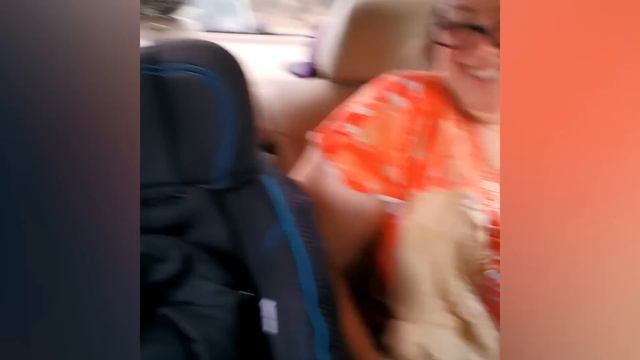 Игры животных 1