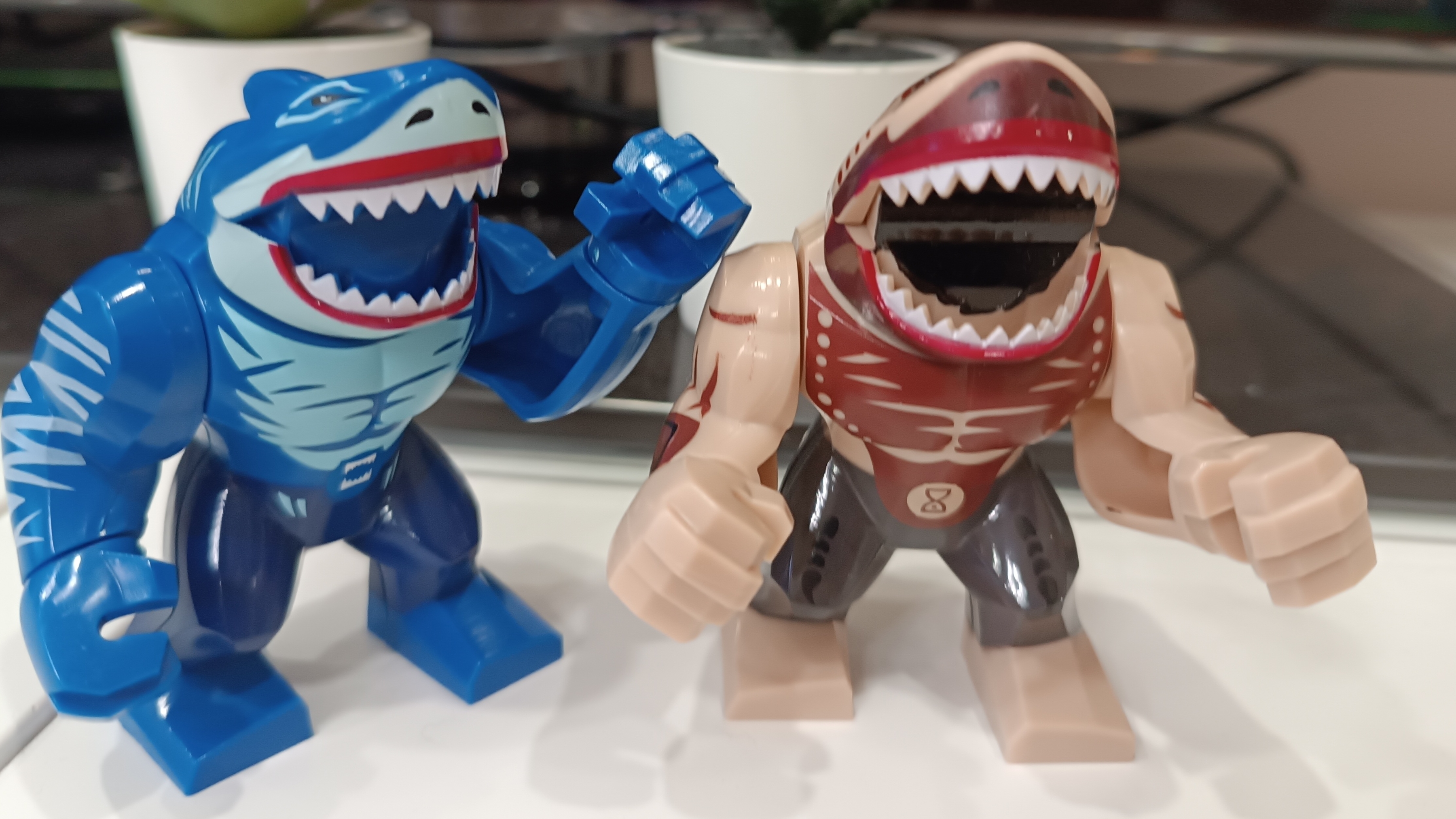 история акул