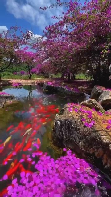 Загадочный Юньнань: край природных чудес и древних традиций.